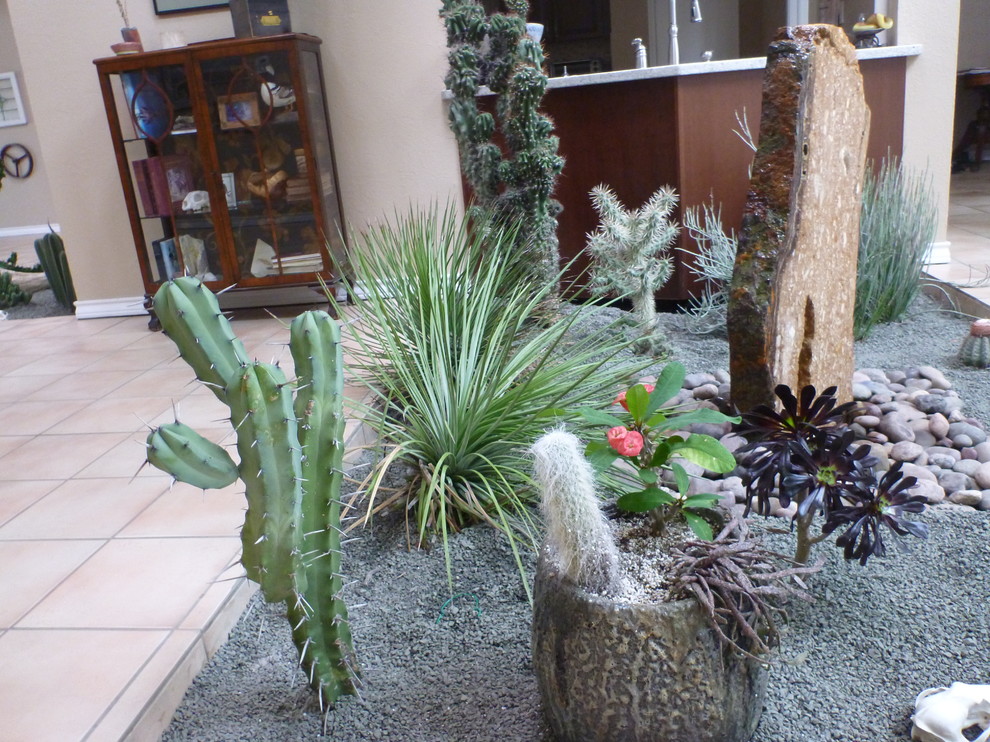 Indoor Cactus Atrium - Mediterranean - Landscape - Houston - by Nature ...