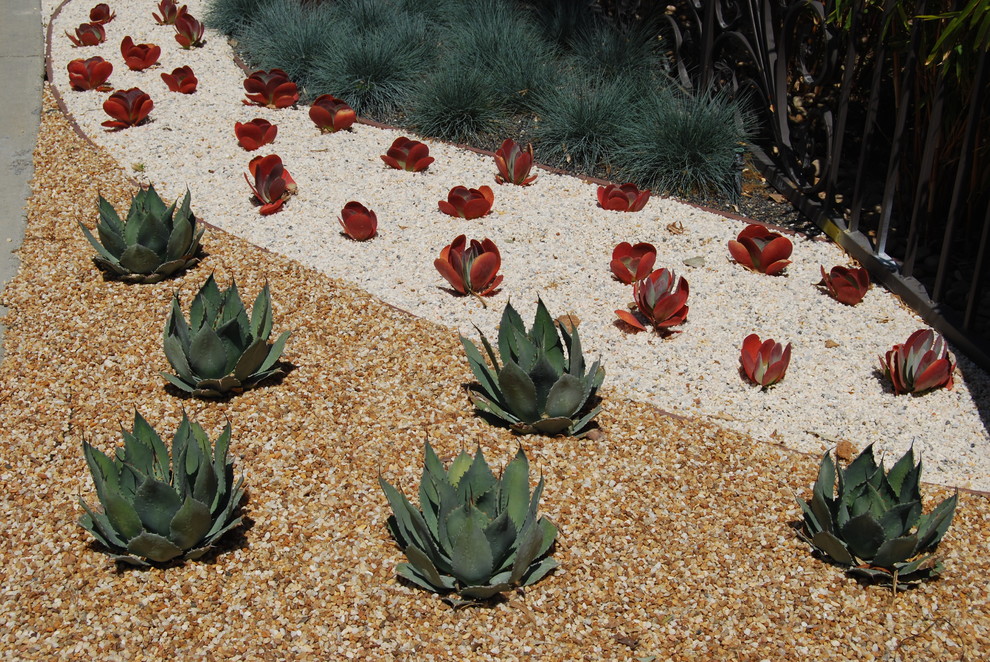 Insight - Traditional - Landscape - Los Angeles - by BlueGreen ...