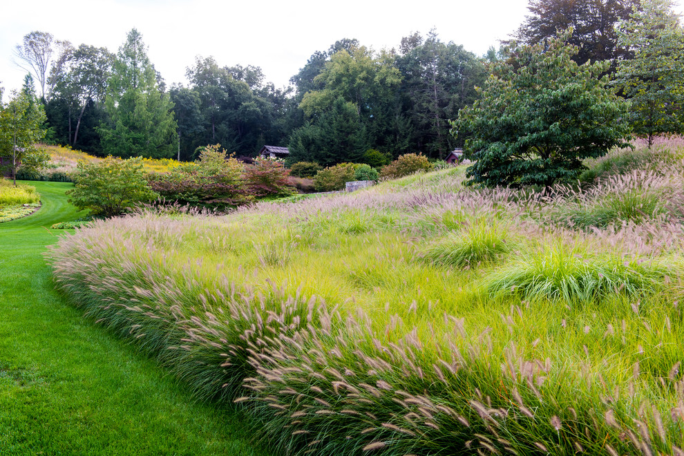 InSitu - Contemporary - Landscape - New York - by Richard Hartlage Land ...