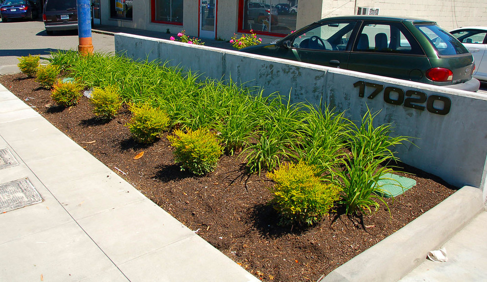 Interurban Lofts - Modern - Landscape - Seattle - by Vireo Design ...