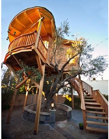 Irish Cottage Green Roof - Craftsman - Landscape - Orange County - by ...