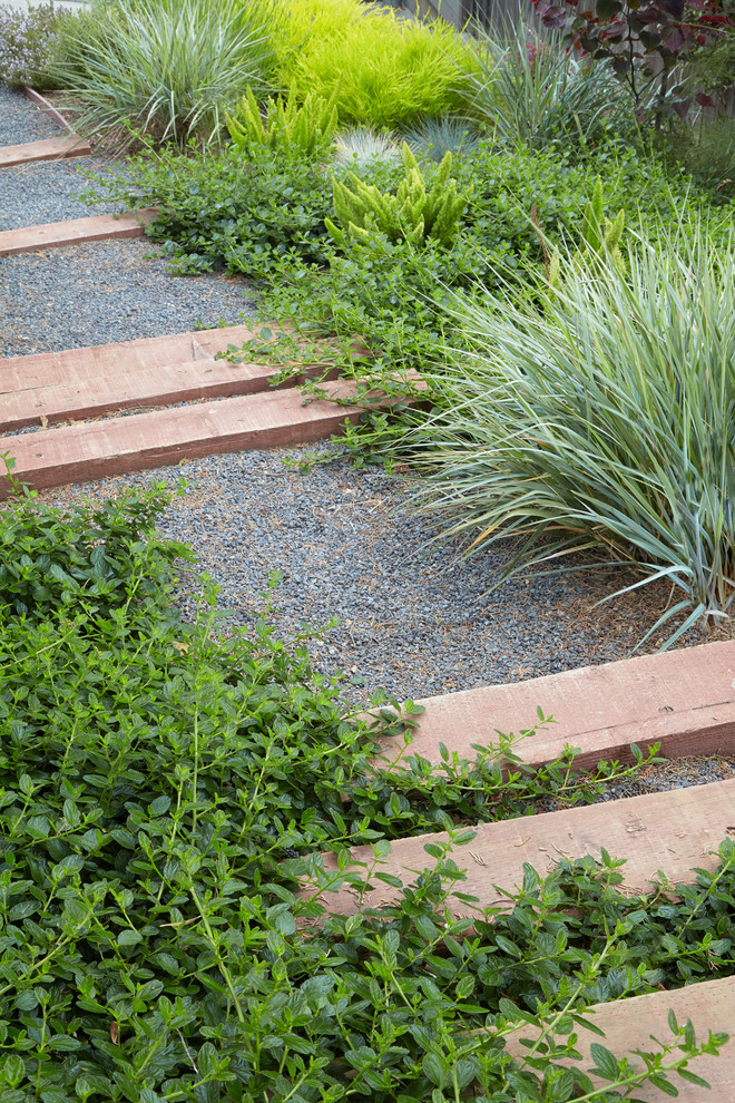 Japanese California Garden - Contemporary - Landscape - San Francisco ...