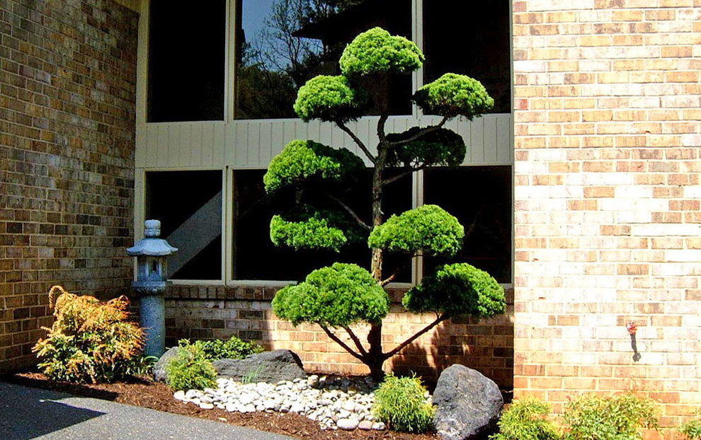 Japanese Garden Design and Installation - Asian - Landscape - DC Metro ...