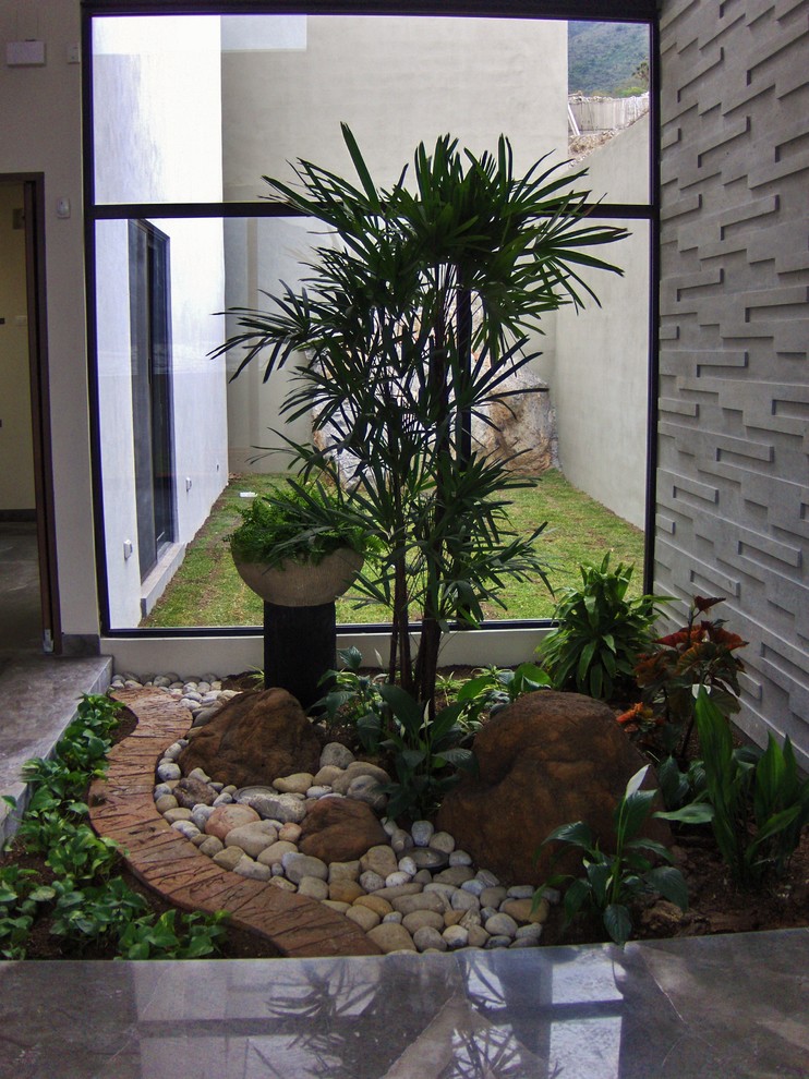 jardin - Contemporary - Landscape - Mexico City - by BERNARDO SANCHEZ G ...