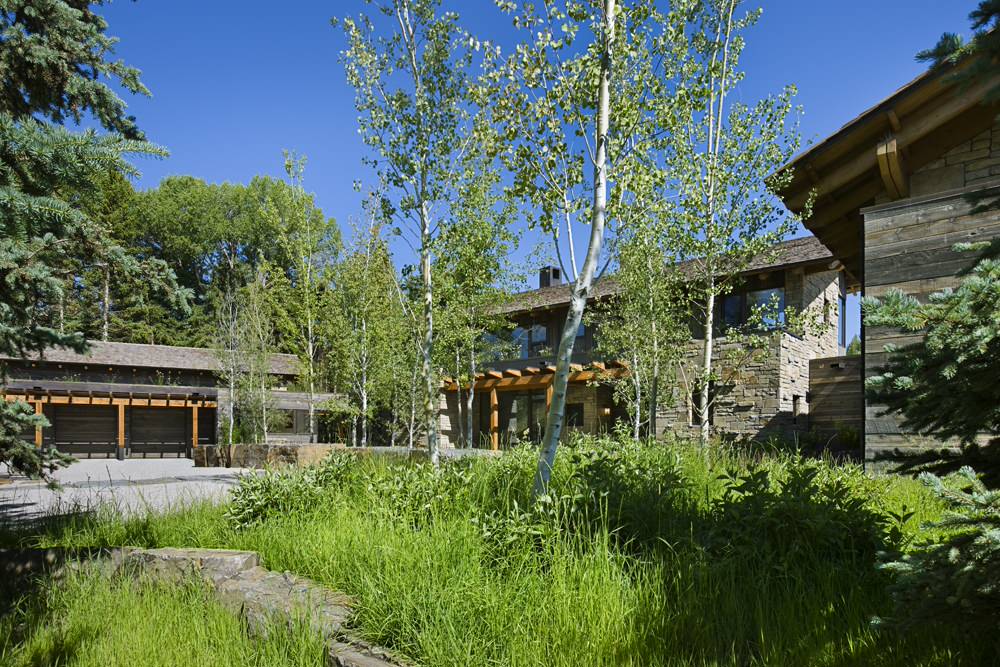 Aspen Trees Berm Ideas Aspen Trees Landscape Photos & Ideas | Houzz