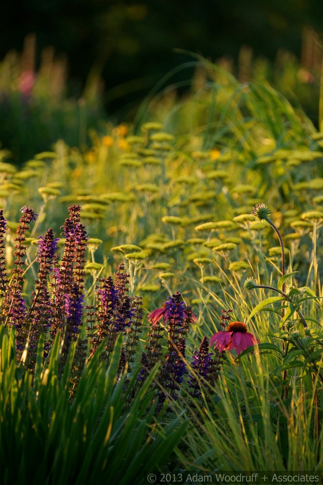 Contemporary Landscape - Contemporary - Landscape - St Louis | Houzz