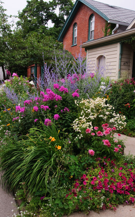 July-streetside-garden-blooms-.jpg - Jardin - Chicago - par Barbara ...