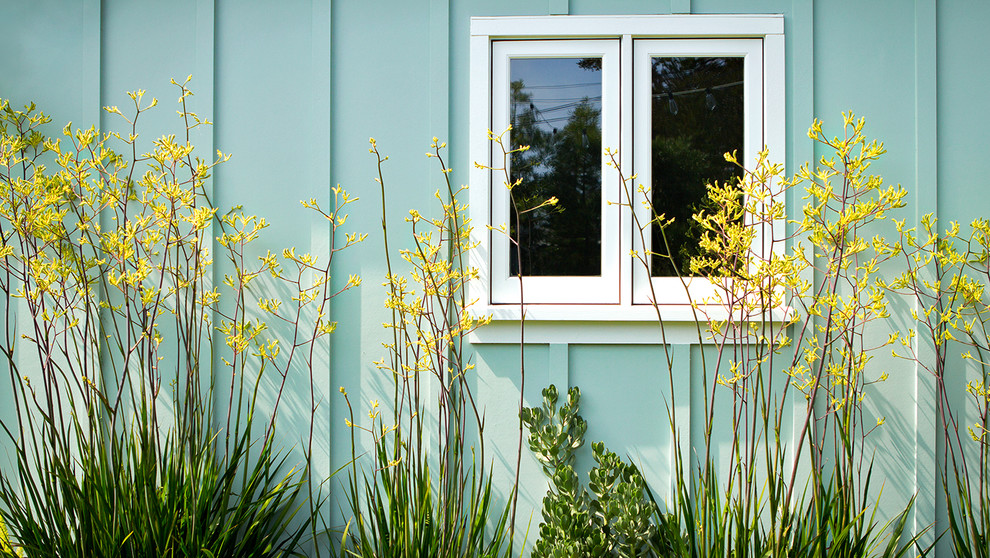 Kangaroo paws against modern house - Modern - Landscape - Los Angeles ...