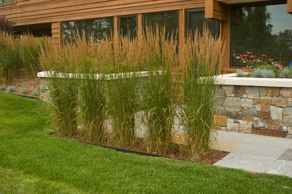 Karl Forester Grass Planting - Modern - Landscape - Other - by Miller ...