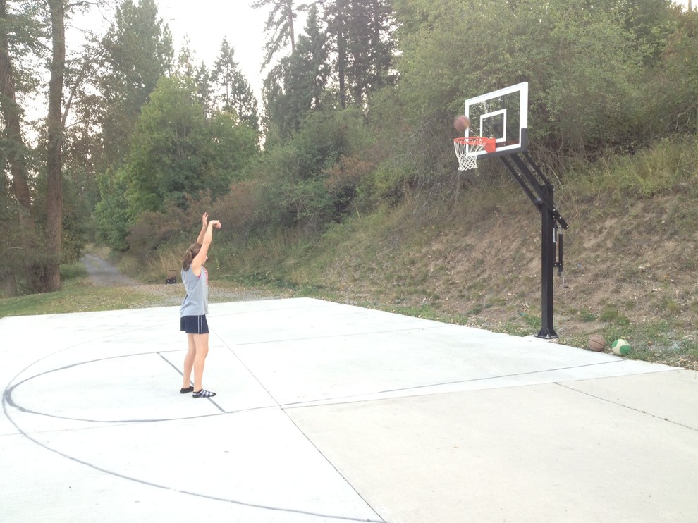 Kelly D's Pro Dunk Silver Basketball System on a 55x28 in Otis Orchards ...