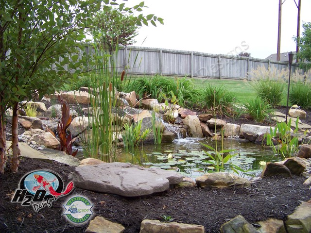 KOI Pond, Backyard Pond & Small Pond Ideas for your Kentucky Landscape ...