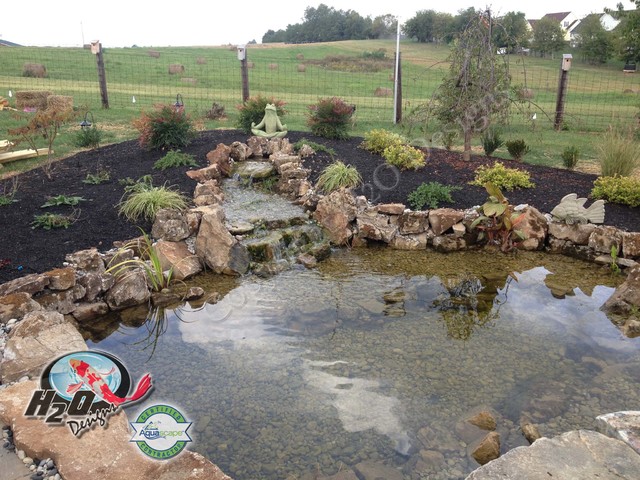 KOI Pond, Backyard Pond & Small Pond Ideas for your Kentucky Landscape ...