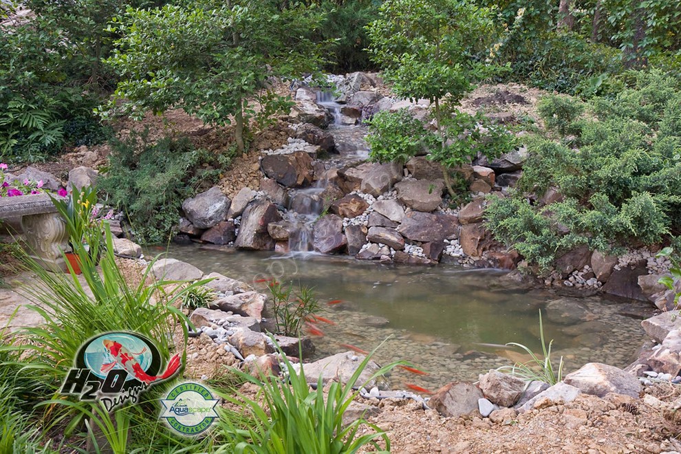KOI Pond, Backyard Pond & Small Pond Ideas for your Kentucky Landscape ...
