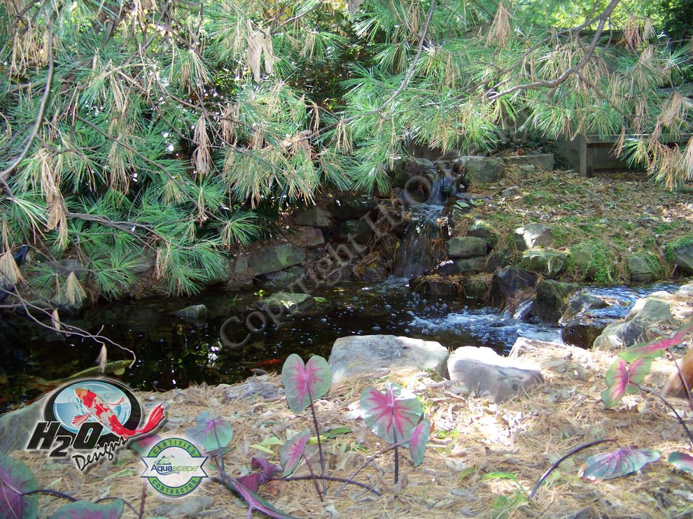 KOI Pond, Backyard Pond & Small Pond Ideas for your Kentucky Landscape ...