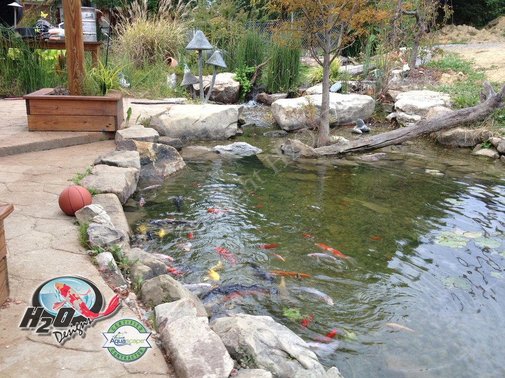 KOI Pond, Backyard Pond & Small Pond Ideas for your Kentucky Landscape ...