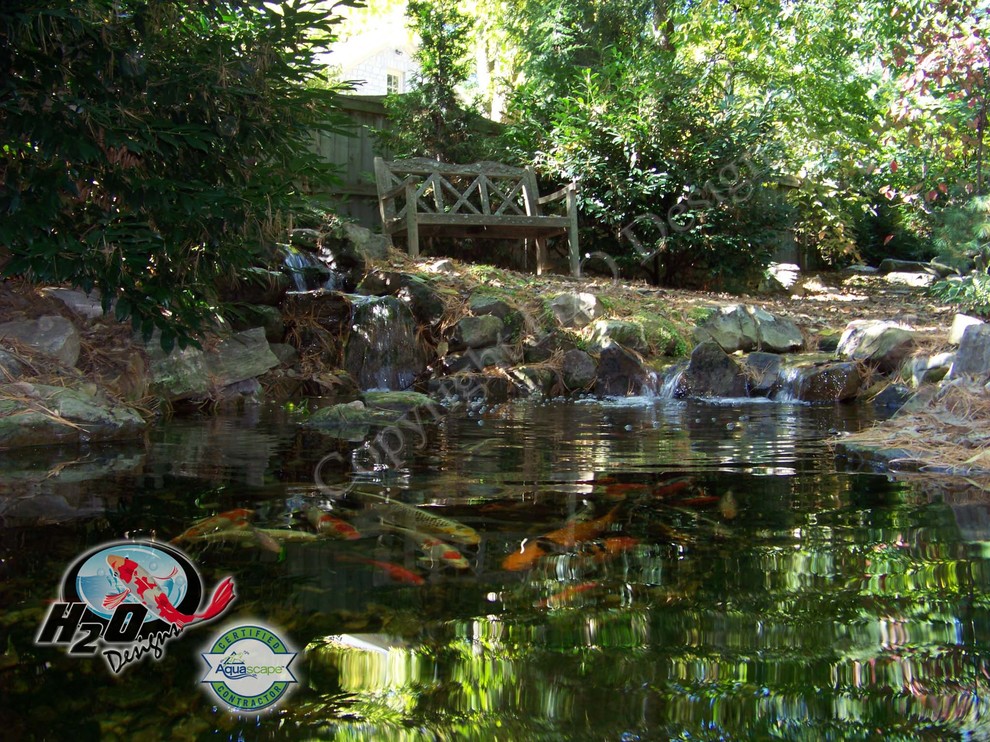 KOI Pond, Backyard Pond & Small Pond Ideas for your Kentucky Landscape ...