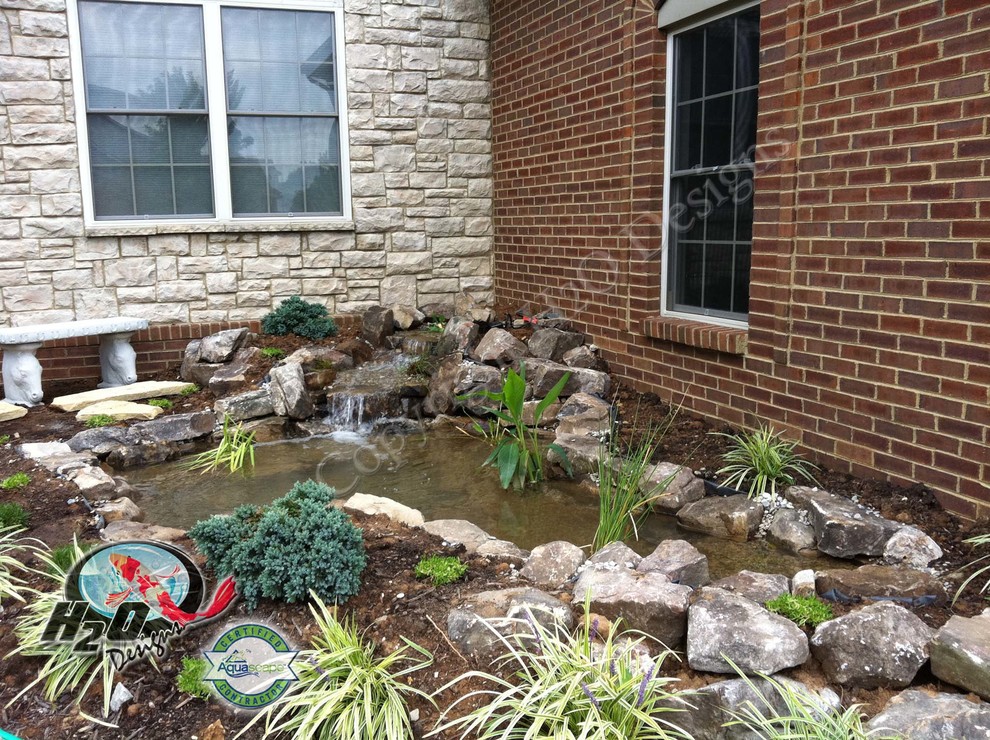 KOI Pond, Backyard Pond & Small Pond Ideas for your Kentucky Landscape ...