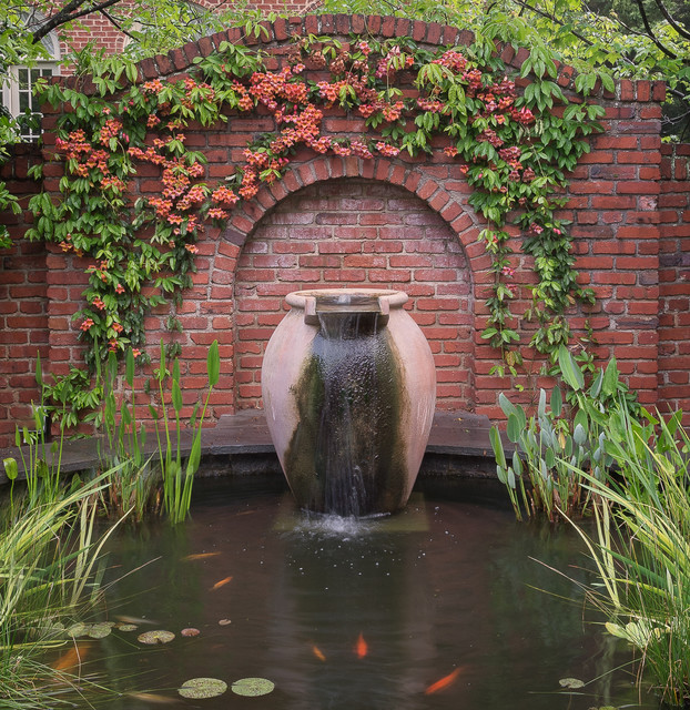 Koi pond with Lunaform urn with cross vine blooming - Contemporary ...