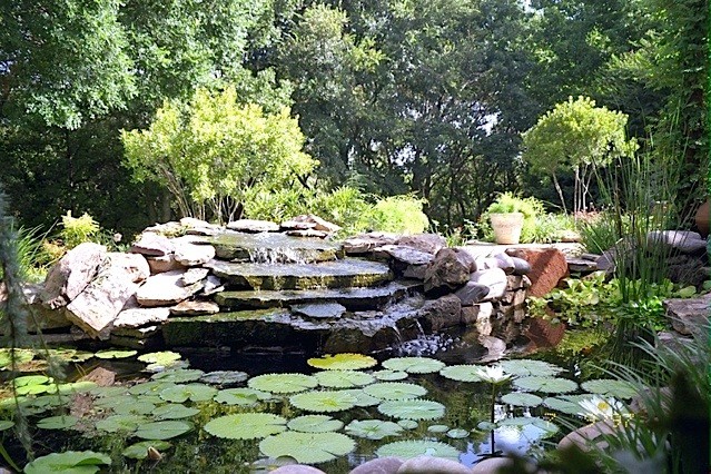 Koi Tan Pond - Asian - Landscape - Dallas - by Original Landscape ...