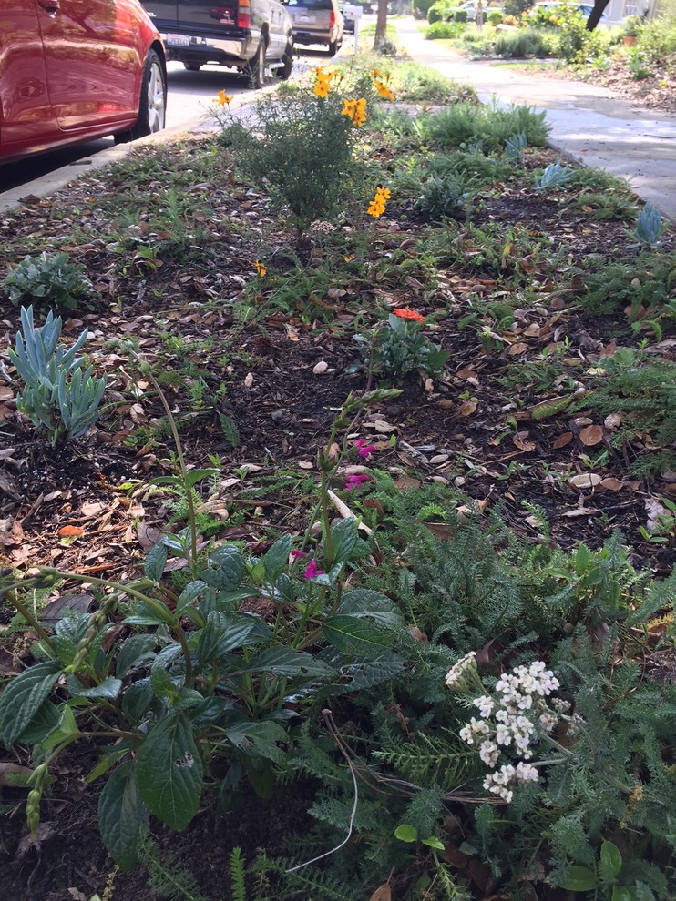 La Crescenta Farmhouse - Farmhouse - Landscape - Los Angeles - by ...