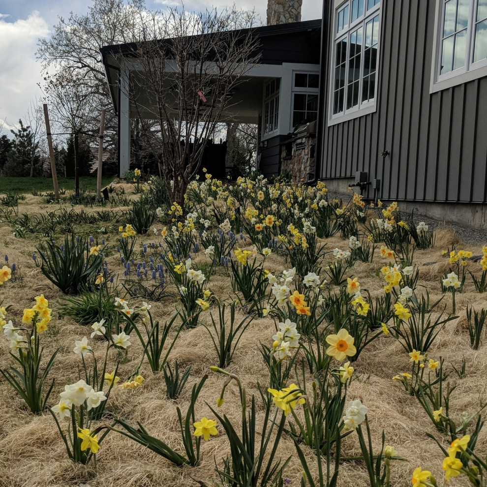 Labyrinth Garden - Contemporary - Landscape - Denver - by K. Dakin ...