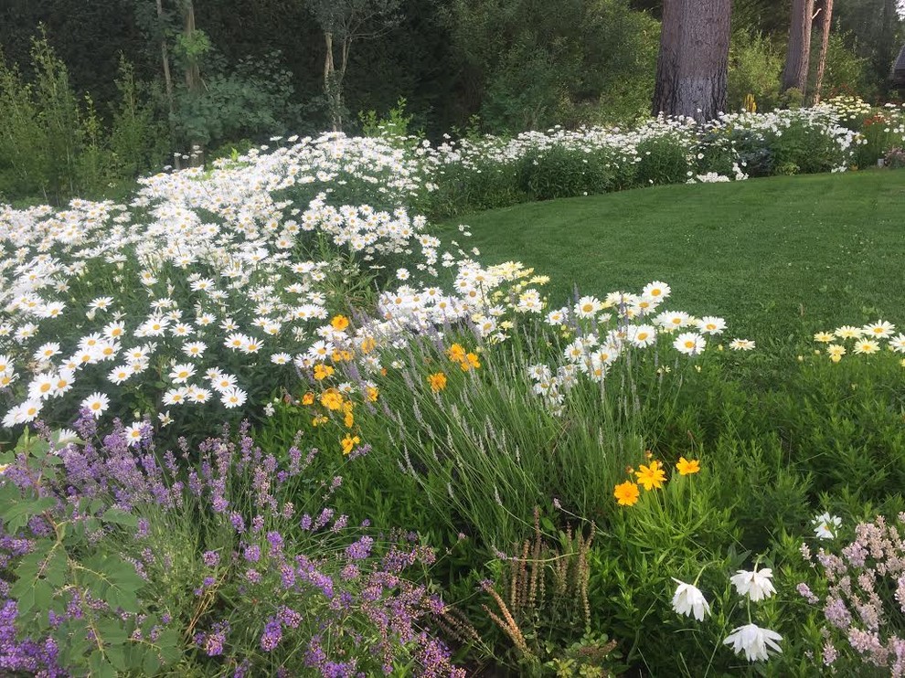 Lake Magic - Traditional - Landscape - Other - by Christine Karnofsky ...