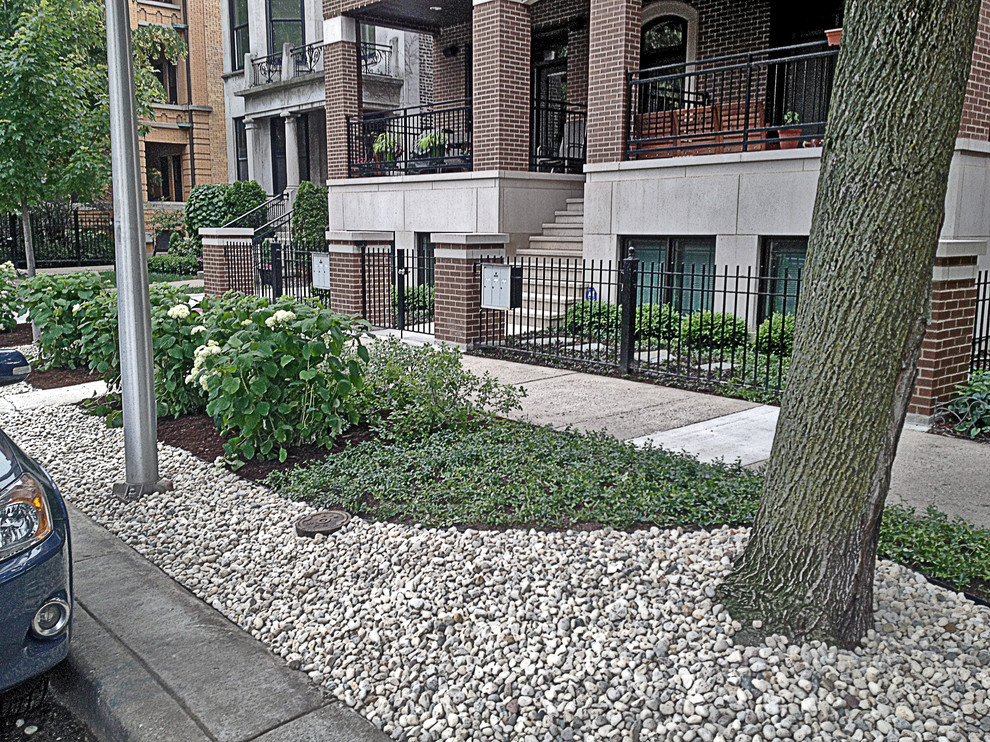 Lakeview Front Yard & Parkway - Contemporary - Landscape - Chicago - by ...