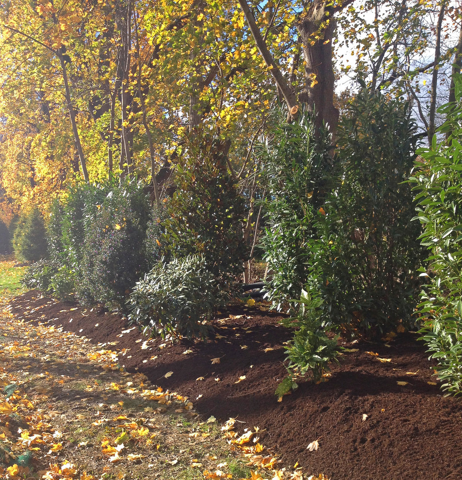 Landscape Buffer Planting - Landscape - Other - by C.E. Pontz Sons | Houzz