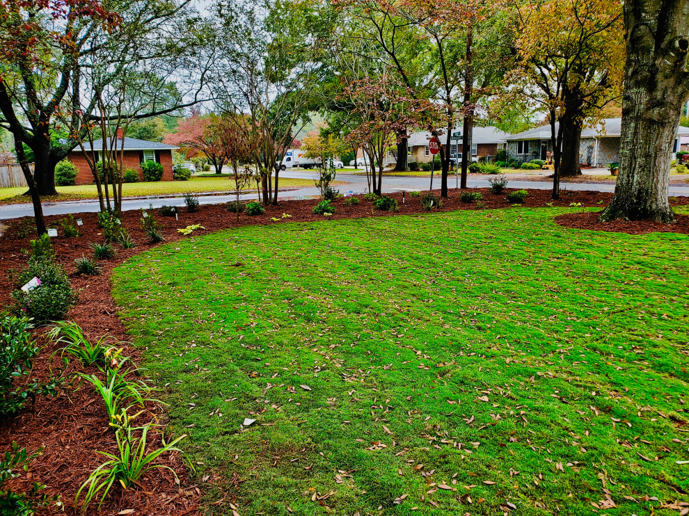 Landscape Design and Installation, Sod Installation at Various Homes ...