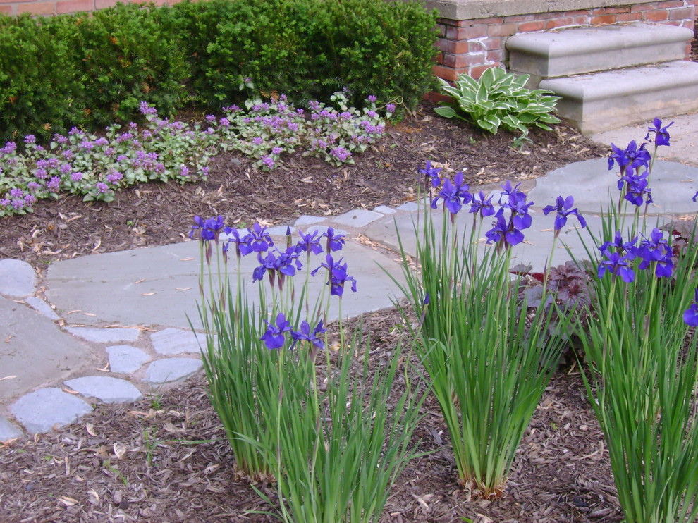 landscape design - Traditional - Landscape - Detroit - by Apex ...
