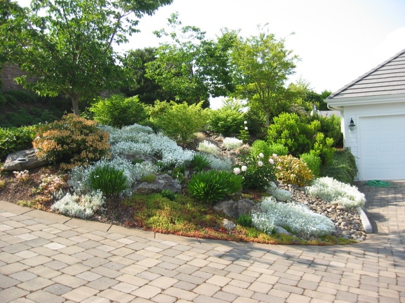 Landscape Design - Eclectic - Landscape - Chicago - by Denise Dering ...