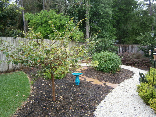 Landscape design for xeriscape or hardscape Winter Park Florida 2 years ...