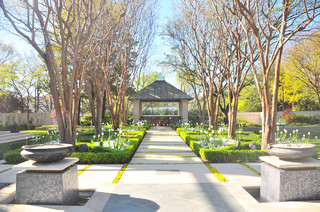 Landscape Design - Contemporary - Landscape - Dallas - by Lawns of ...