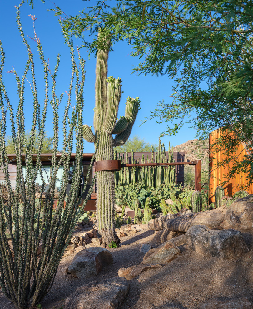 Landscape design - Landscape - Phoenix - by Michael Woodall ...