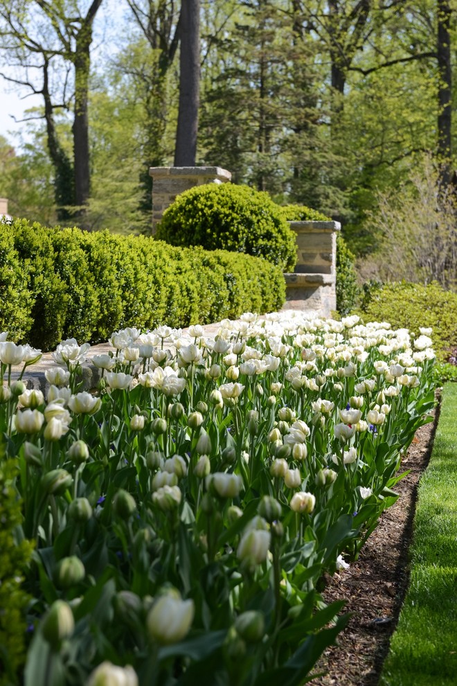 Landscape Design - Landscape - Philadelphia - by Paragon Landscaping ...