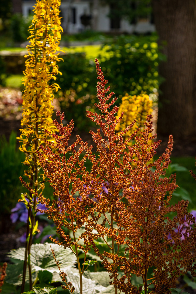 Landscape Design - Plant Combinations - Traditional - Landscape ...