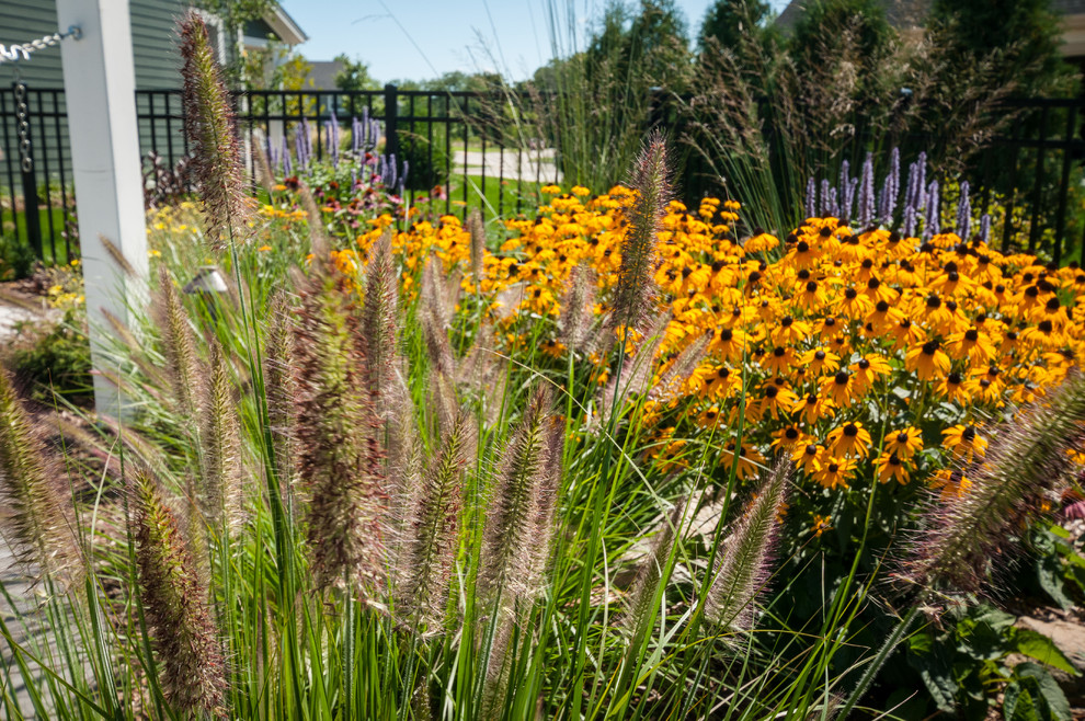 Landscape Design - Plant Combinations - Traditional - Landscape ...
