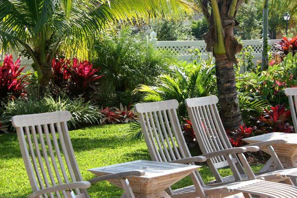 Landscape Designs - Tropical - Landscape - Miami - by Jupiter Island ...
