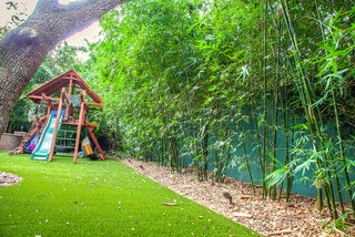 Landscape - Tropical - Landscape - Tampa - by Landscape-Fusion | Houzz