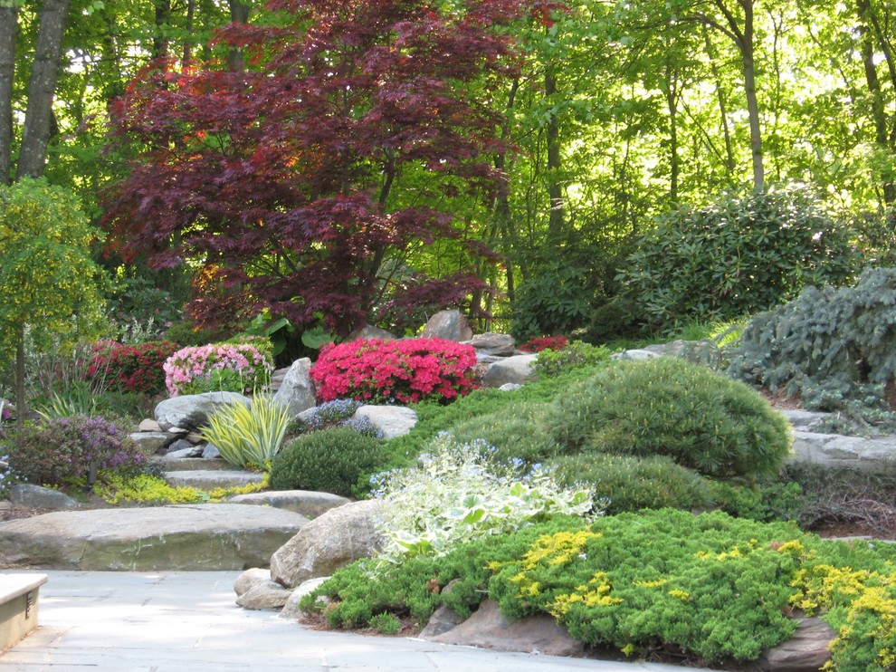 Landscape planting design - Traditional - Landscape - Bridgeport - by ...