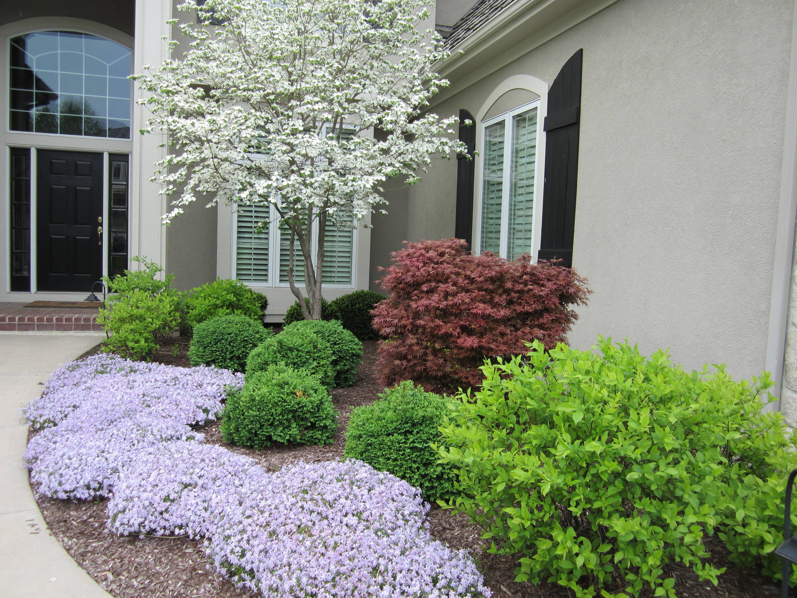 Landscaping With Dogwood Trees Red Maples, Dogwoods, Arborvitae