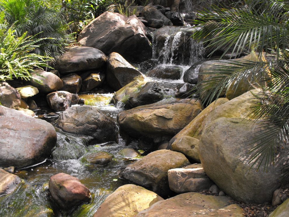 Landscape rock and boulder placement - Tropical - Landscape - Santa ...