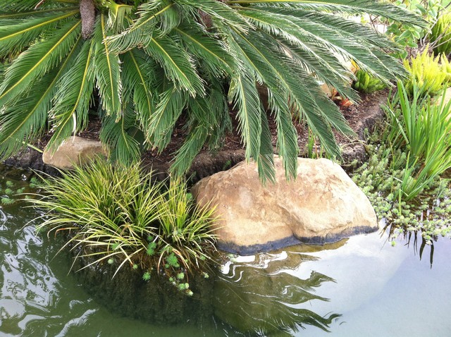 Landscape rock and boulder placement - Méditerranéen - Jardin - Santa ...
