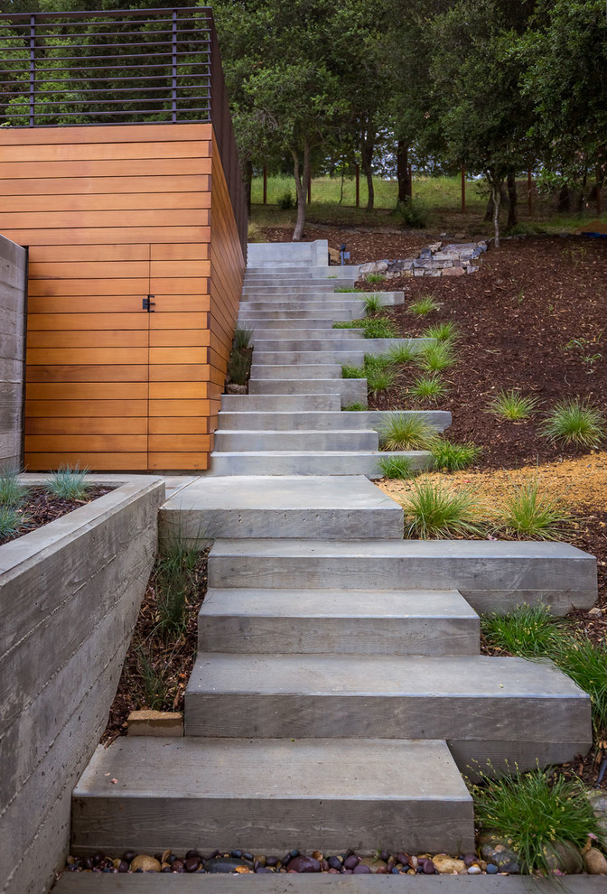 Landscape Stairs - Contemporary - Landscape - San Francisco - by ODS ...