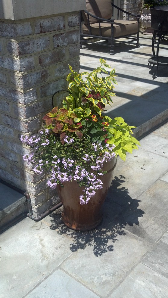 Landscape Work - Traditional - Landscape - Richmond - by Edward Gosman ...