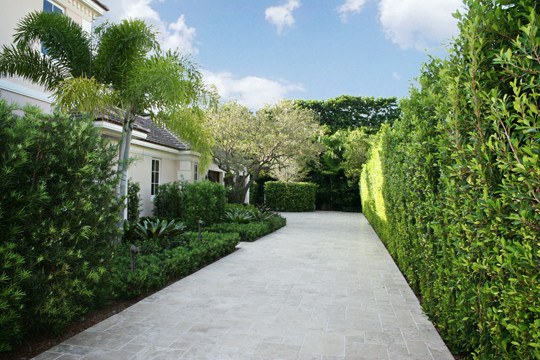 Landscaped Driveway - Modern - Landscape - Miami - by Krent Wieland ...