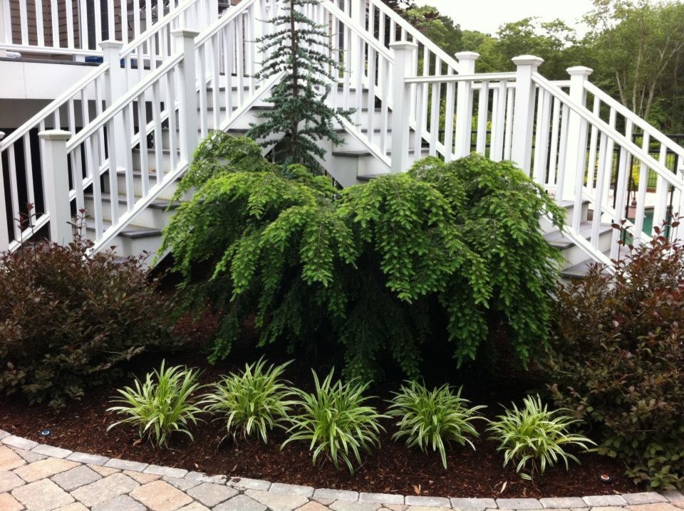 Landscapes - Traditional - Landscape - Providence - by Allscapes ...