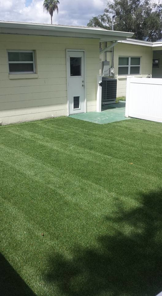 Landscapes - Modern - Landscape - Tampa - by Beach Bum Turf Co. | Houzz