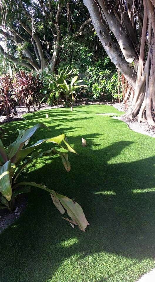 Landscapes - Modern - Landscape - Tampa - by Beach Bum Turf Co. | Houzz