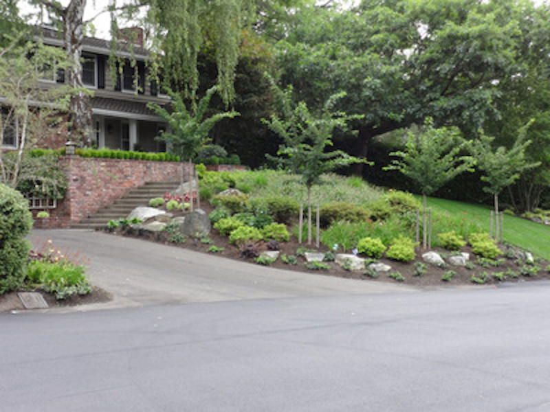 Landscapes - Traditional - Landscape - Seattle - by MayCreek ...